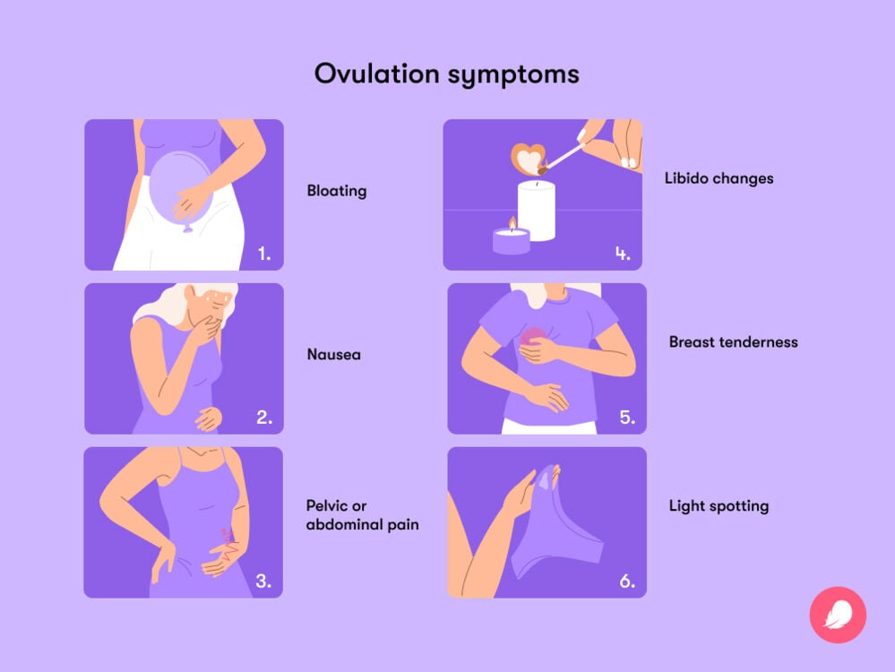 Ovulation Symptoms And Signs How To Tell When Youre Ovulating Flo 5222